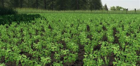 GROUND TEXTURES 30 V3 0 FS19 Mod FS19 Net