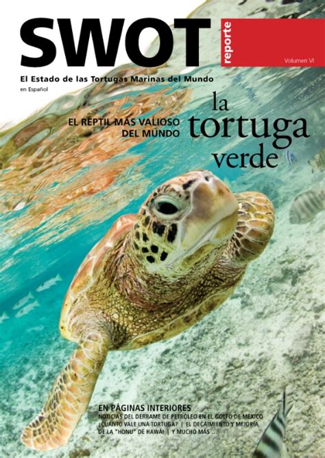SWOT Reports The State Of The World S Sea Turtles SWOT