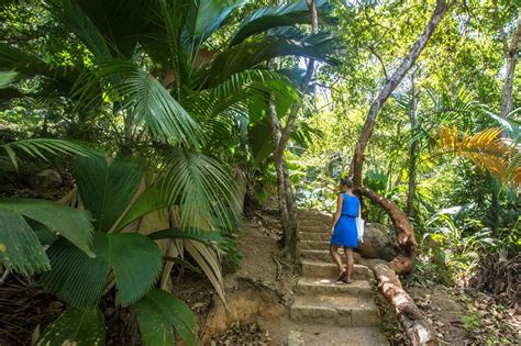 Praslin Island Getting There Accommodation Beaches