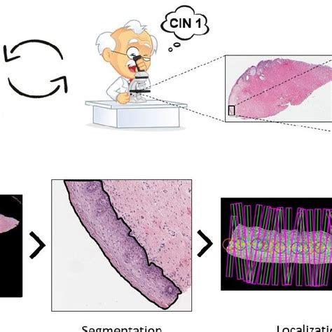 Benchmark Cin Classification Results [18] Download Scientific Diagram