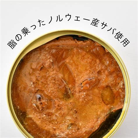 福井缶詰 鯖缶 味付醤油仕立て 3缶 缶詰 高級 サバ缶 非常食 保存食 備蓄 お歳暮 ギフト おすすめ リピート続出 鯖 魚 ノルウェー産