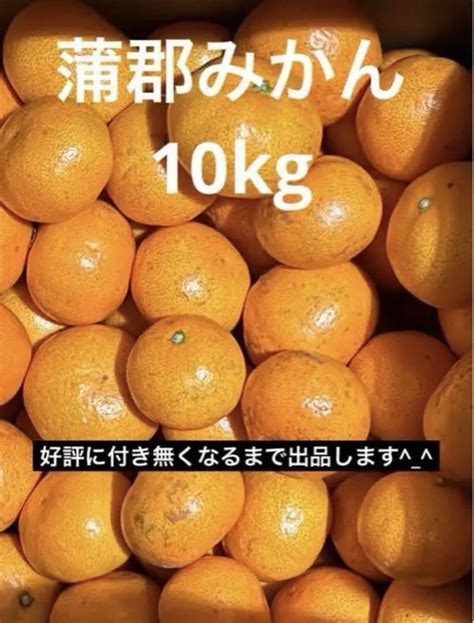 蒲郡みかん 早生 10kg メルカリ