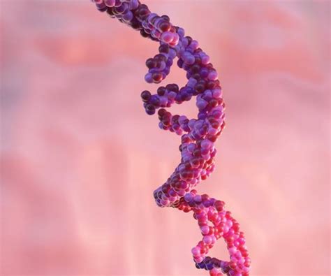 Next Generation Sequencing Services Bioinformatics Ngs Custom Data Analysis