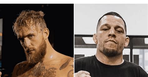 Jake Paul Ready To Knock Out Nate Diaz In August 5 Boxing Match My