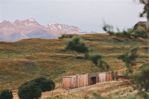 How To Add Animations To Squarespace The Code Free Way