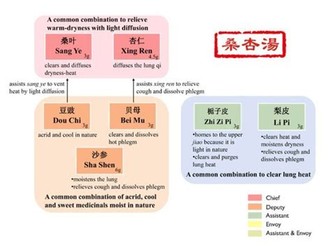 Sang Xing Tang A Classic Tcm Formula For Lung Health And Dryness Relief