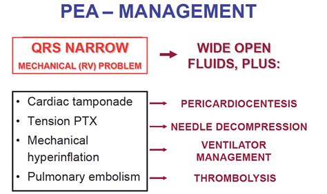Pulseless Electrical Activity Acls