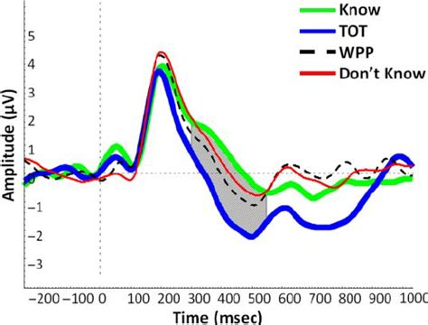 Stimulus Locked Grand Averaged Erp Waveforms For Each Response