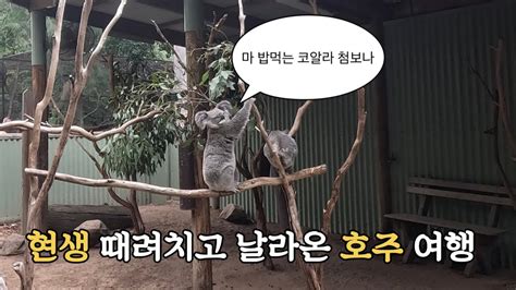 회사 복귀 전 호주로 도망가기 2ㅣ여행 브이로그 Youtube