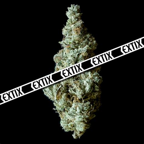 Cheese 1g Extix