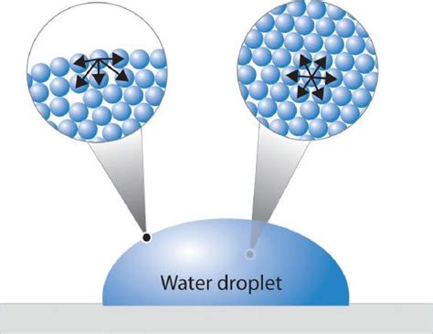 114 Intermolecular Forces In Action Surface Tension Viscosity And