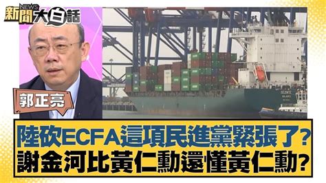 陸砍ecfa這項民進黨緊張了？謝金河比黃仁勳還懂黃仁勳？ 新聞大白話 20240602 Youtube