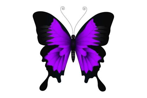 Modelos De Borboleta Lilás Em Png Para Imprimir
