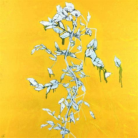 刘真辰 艺术家 Artcn