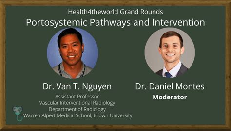 Portosystemic Pathways And Interventions Health4theworld