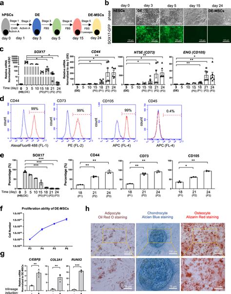 Msc Generation From Hpscs Via Definitive Endoderm Progenitors A