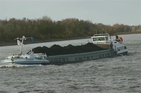 Tigris