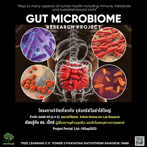 Research Project In Gut Microbiome 1jul23 Treelearning