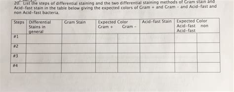 Solved List The Steps Of Differential Staining And The Chegg Com