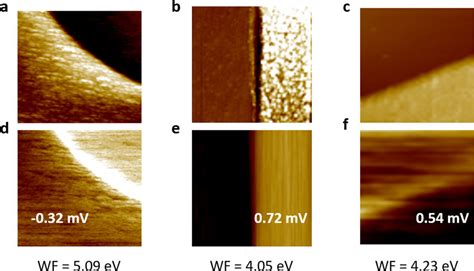 Topographical And Scanning Kelvin Probe Microscopy Images A D Download Scientific Diagram