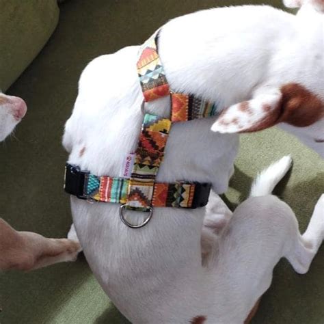 Arnes Para Perro Anti Tirones Inca Terracota 4GUAUS