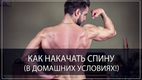 Как накачать спину дома Шесть эффективных упражнений Youtube