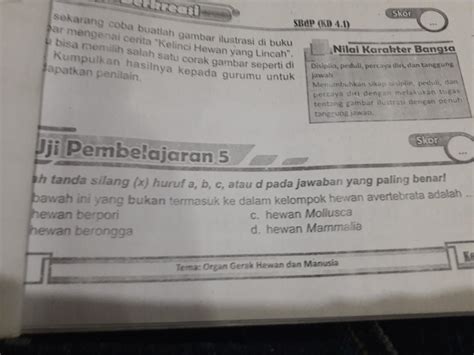 Yang Bukan Termasuk Hewan Amfibi Adalah Inspirasi Baru