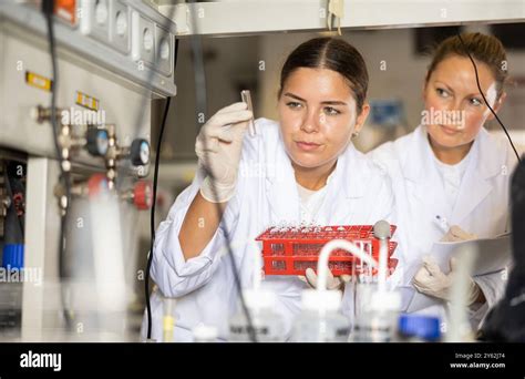 Two Woman Performing Experiments In Laboratory Using Mechanical Lab Pipette For Mixing