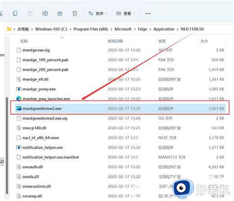 win11edge无法访问网页什么原因 win11edge无法访问网页的两种解决方法 好装机