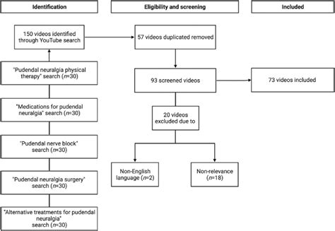 The Flow Chart Of Videos Search Download Scientific Diagram