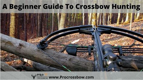 A Beginners Guide To Crossbow Hunting Procrossbow