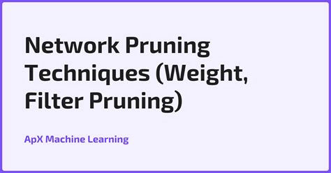 Network Pruning Techniques Weight Filter Pruning