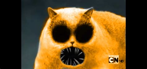 Edited Version Of A Cat From Flapjack Thought It Belonged Here R Imsorryjon