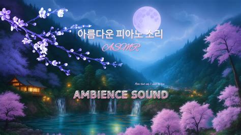 나만 듣고싶은 아름다운 피아노 소리 Asmr 💤 피아노소리 Asmrㅣ수면유도ㅣ광고없음ㅣ자장가ㅣ잠 잘오는 소리ㅣambienceㅣ5