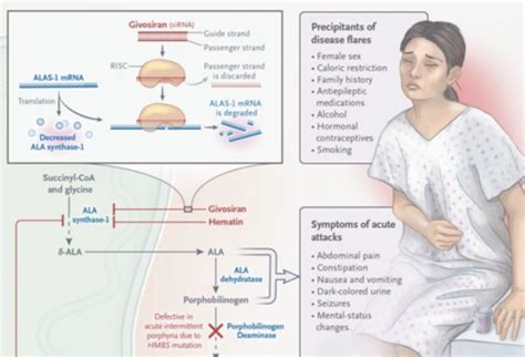 100ish Syndromes Every Geneticist Should Know Flashcards Quizlet