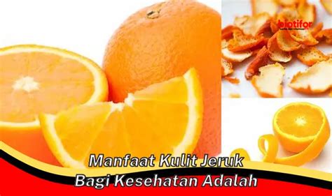 Temukan Berbagai Manfaat Kesehatan Dari Kulit Jeruk Yang Jarang Diketahui Biotifor