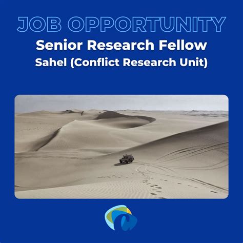 The Clingendael Institute On Linkedin 🚨 Job Alert We Are Looking For