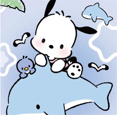 Pochacco 💗 Hallo Kitty Zeichnung Niedliches Gekritzel Niedliche