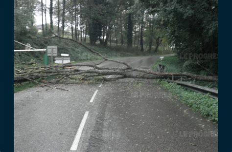 Virignin Un Arbre Sabat Sur La Chaussée à Virignin