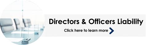 Management Lines Apogee Insurance Group A Berkshire Hathaway Company
