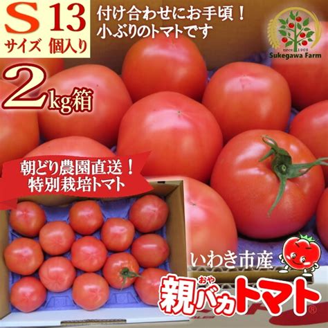 親バカトマト2kg箱 Sサイズ（13個入り）税込1400円 親バカトマト 助川農園 いわき市産トマト、ミニトマト通販・直売