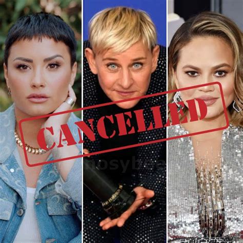 Celebrities Who Got Cancelled Nosybee