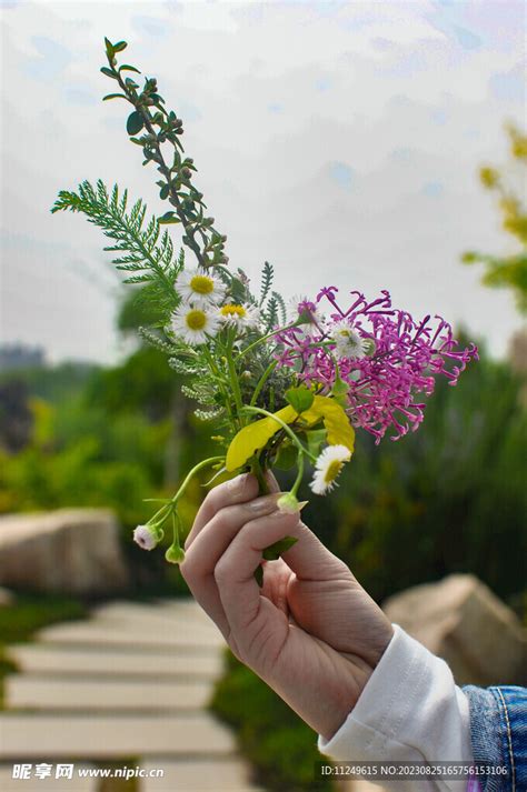 巧玲花摄影图人文景观旅游摄影摄影图库昵图网