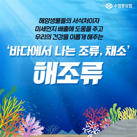 수협중앙회 바다에도 채소 가 산다🥦🥕 몸 속 미세먼지 배출을 도우며 바다에서 나는 조류