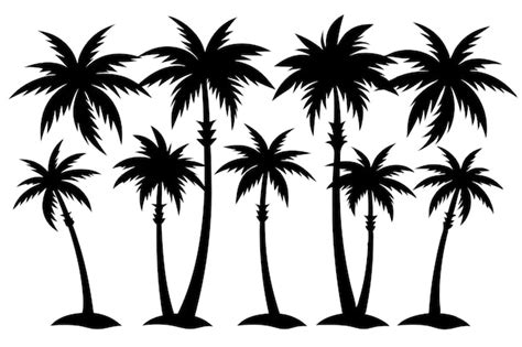 Premium Vector Set Of Black Silhouettes Of A Palm Tree