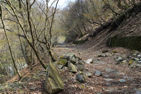 360点を超える丹沢山地 写真のストックフォト、写真、そしてロイヤリティフリーの画像 Istock