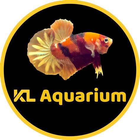 មានកូនក្មេងមួយដេញតាមដូចគីគីចឹង By លក់សេកហុងកុង Facebook