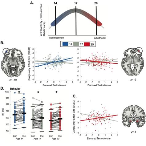 Testosterone Modulation Of Emotional Control Congruency Download