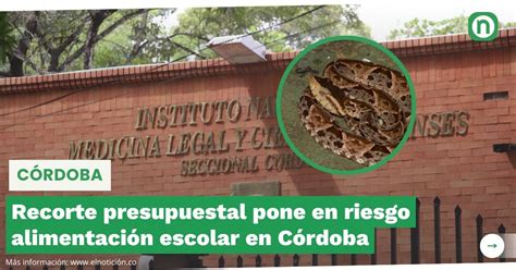 Niño De 5 Años Falleció Por Mordedura De Serpiente En Zona Rural De