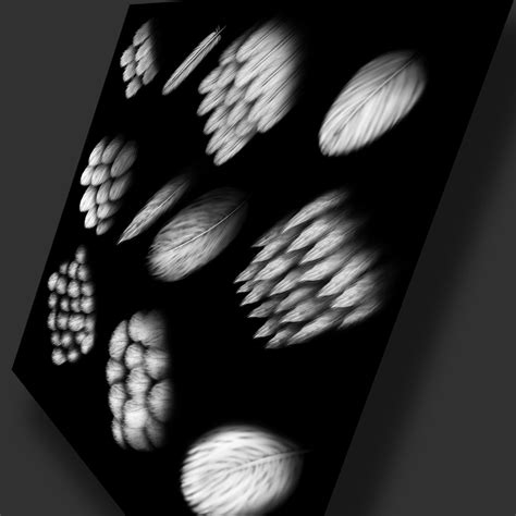 11 Feather Alpha Maps Texture Cgtrader